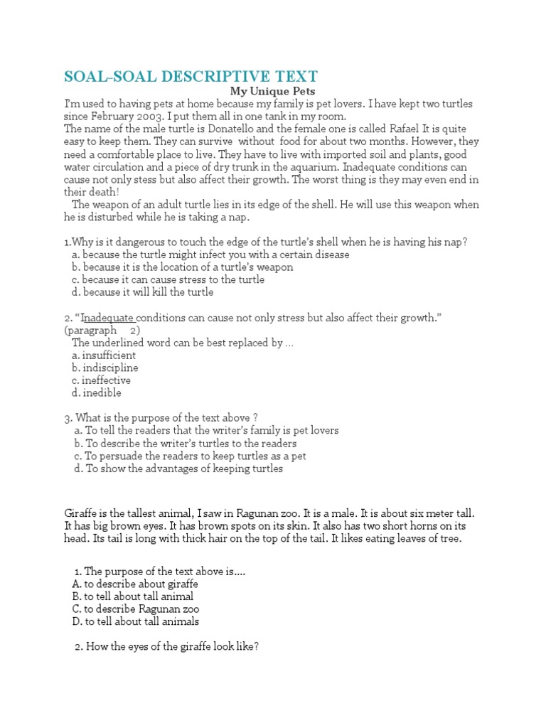 Soal Descriptive Text | PDF