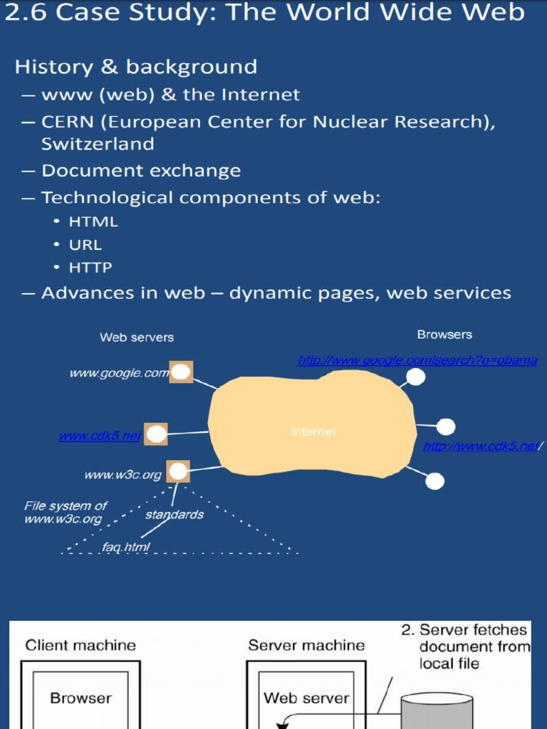 Case Study World Wide Web | PDF