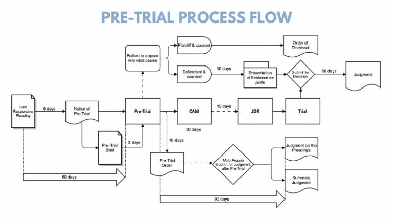 Pretrial Process Flow | PDF