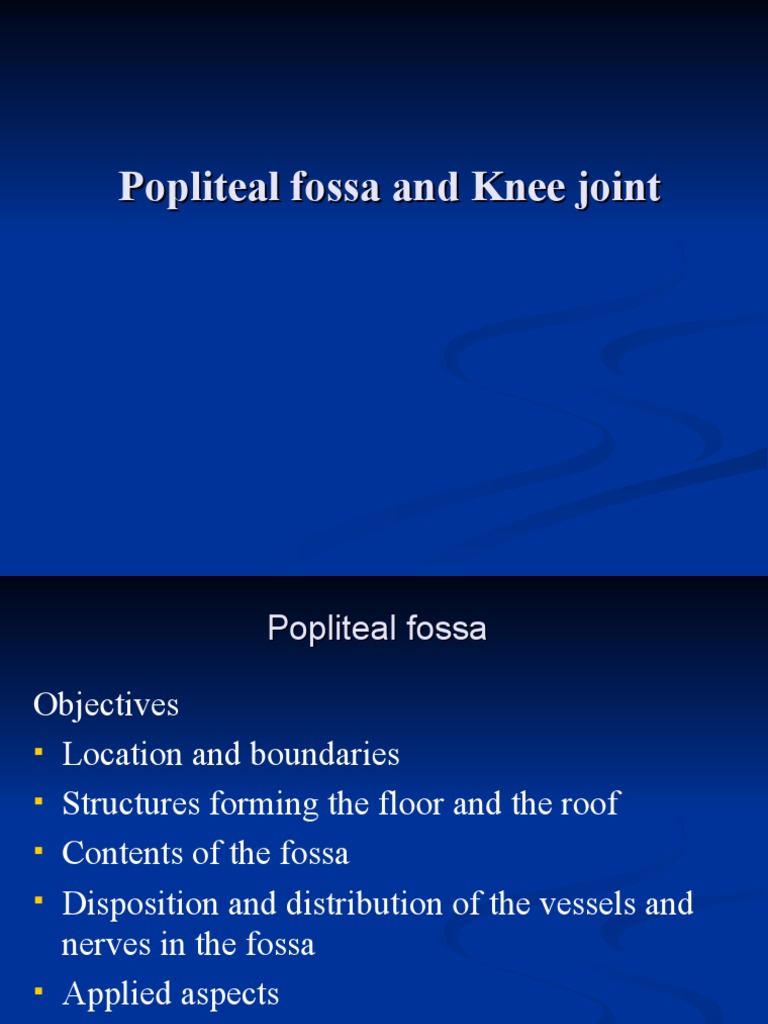 XX Popliteal Fossa and Knee Joint | PDF | Knee | Human Leg