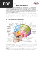 Escala de Rotterdam | PDF