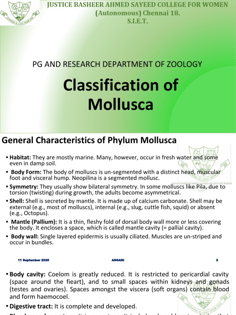 Molluscs General Charaters and Classification | PDF | Mollusca ...