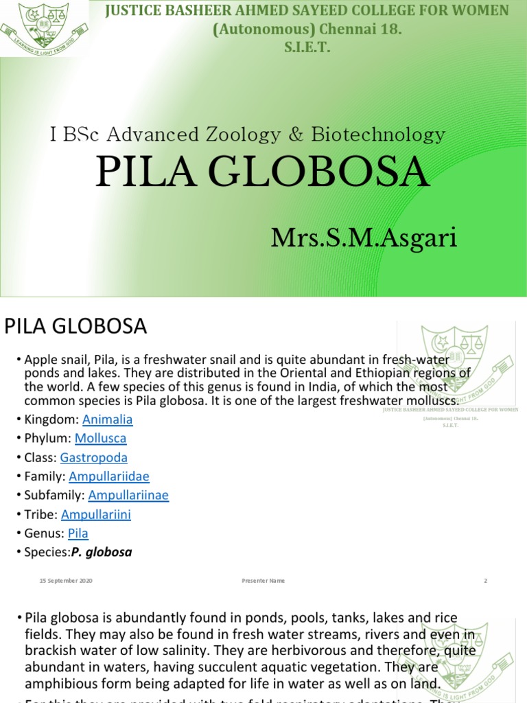 Anatomy, Physiology and Locomotion of the Freshwater Apple Snail Pila ...
