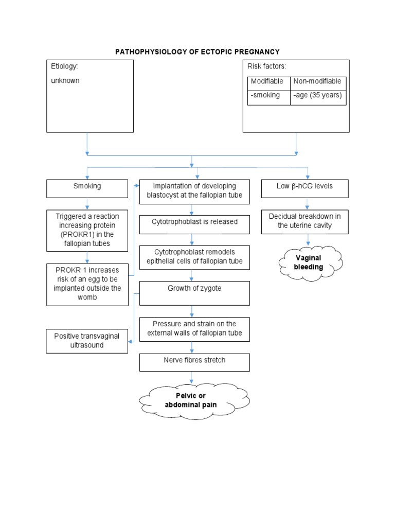 Pathophysiology of Ectopic Pregnancy | PDF