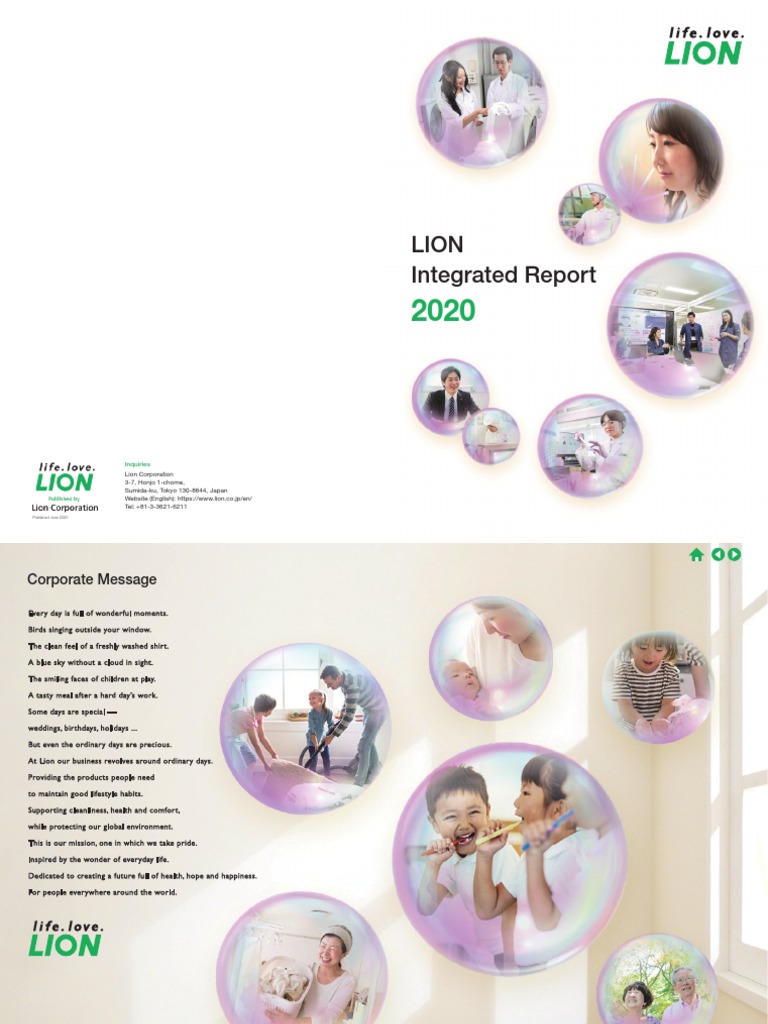 Lion 2020 Integrated Report Overview | PDF | Sustainability | Business