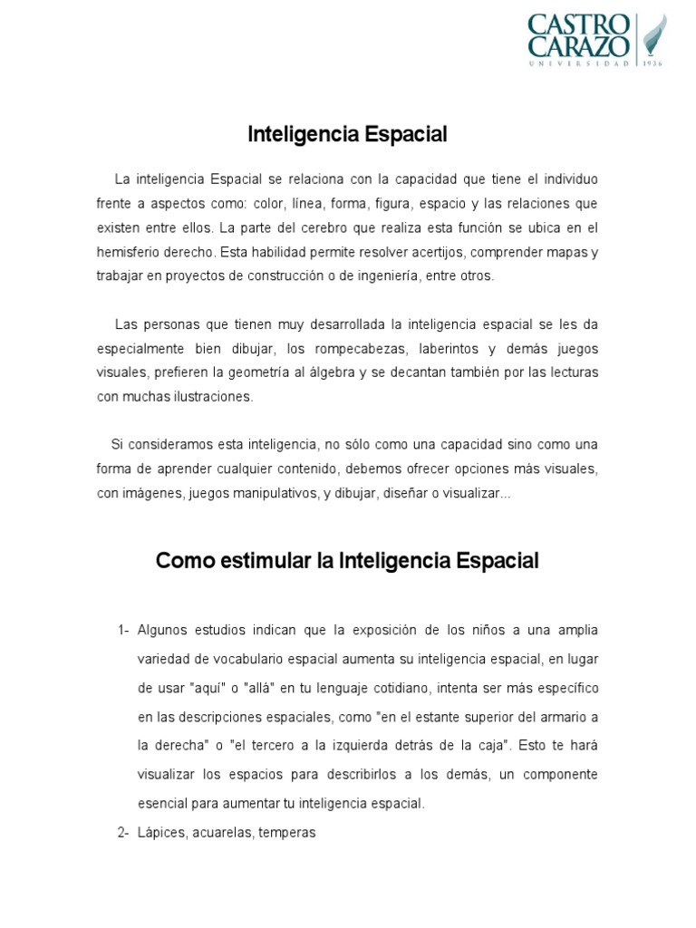 Trabajo-Inteligencia Espacial | PDF