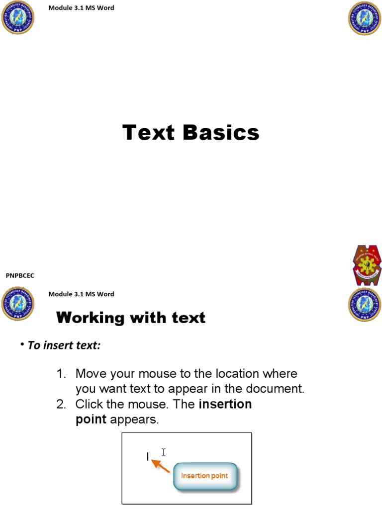 LP 3.1.2 Text Basics | PDF | Microsoft Word | Computer Keyboard