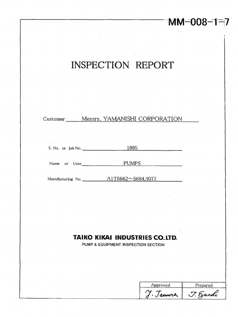 MM-008-1-7 Pumps Inspection Report | PDF