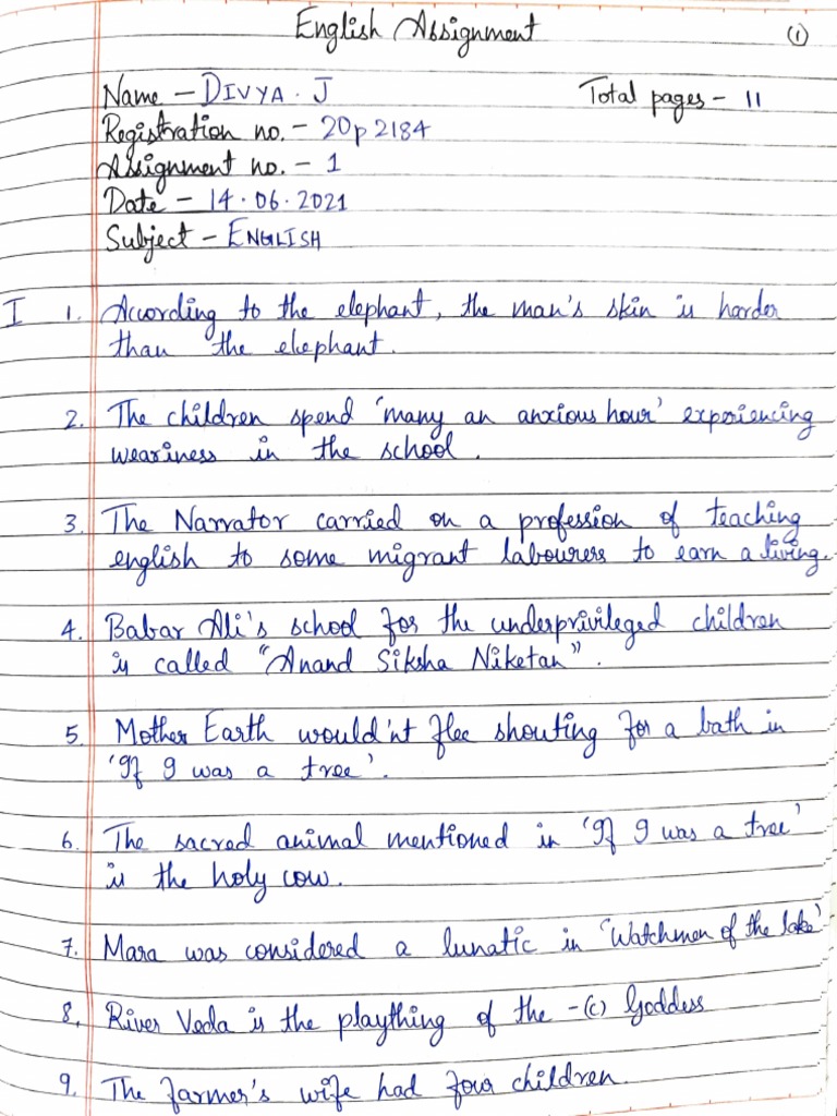 English Assignment 1. Divya | PDF