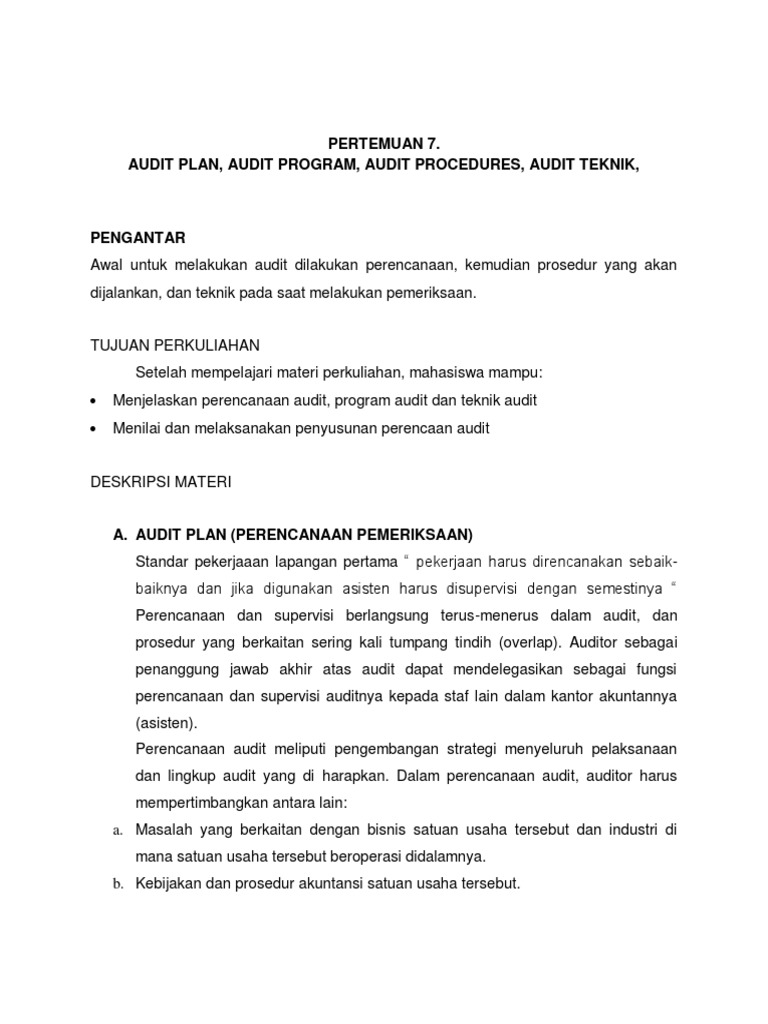 Audit Plan dan Teknik: Panduan Lengkap | PDF
