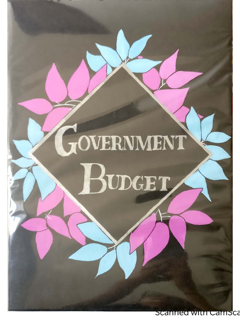 Govt. Budget & It's Components (Economics Project Class 12) | PDF
