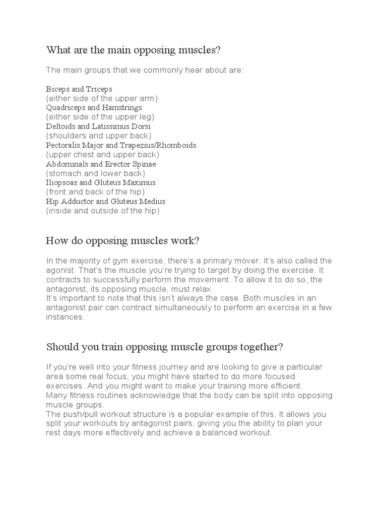 What Are The Main Opposing Muscles | PDF | Human Anatomy | Physical ...