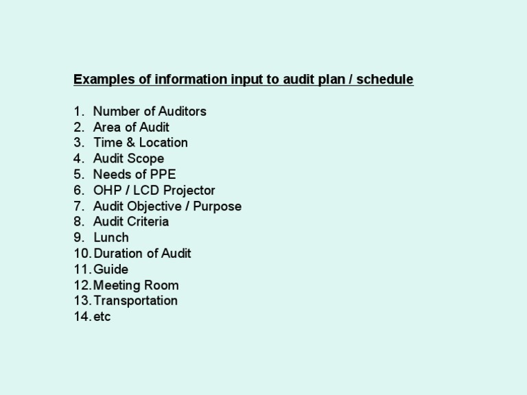 Audit Plan Input Examples | PDF | Technology & Engineering