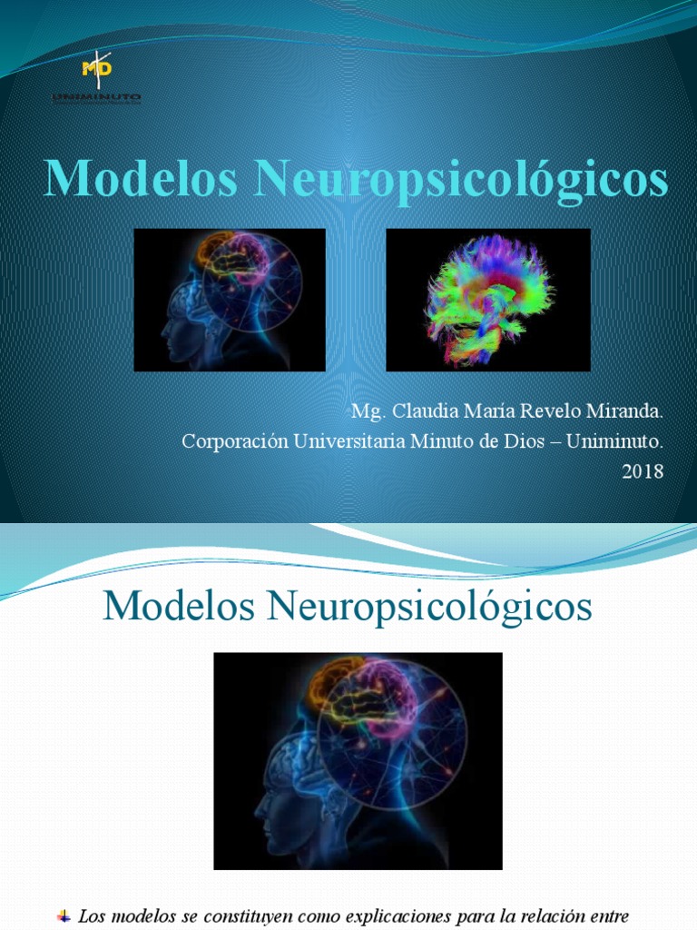 Unidad 2 Modelos Neuropsicológicos | PDF