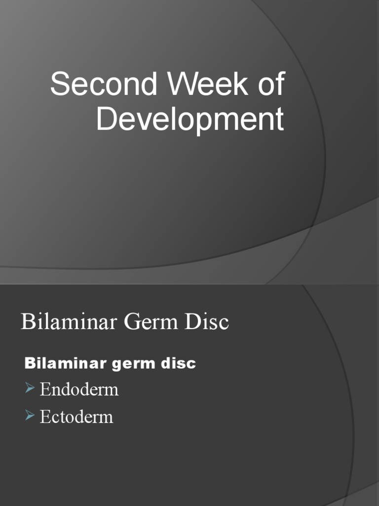 2ND Week of Development | PDF