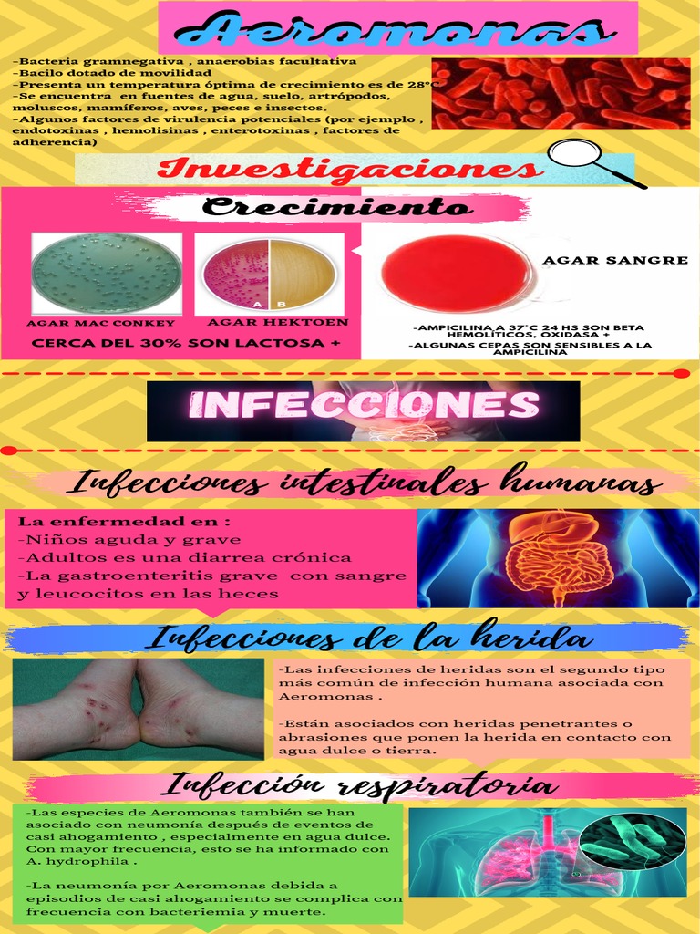 AEROMONAS | PDF