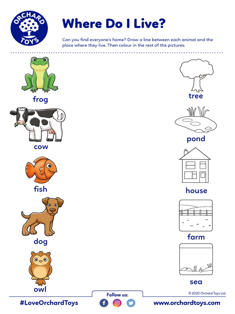 Where Do I Live Activity Sheet | PDF