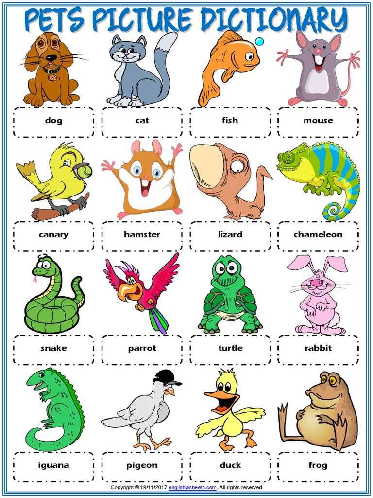 Pets Vocabulary Esl Picture Dictionary Worksheet For Kids | PDF