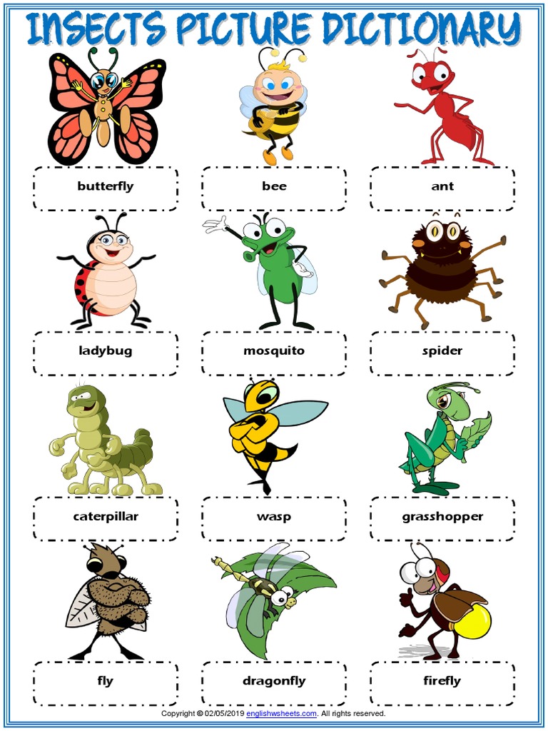 Insects Vocabulary Esl Picture Dictionary Worksheet For Kids | PDF