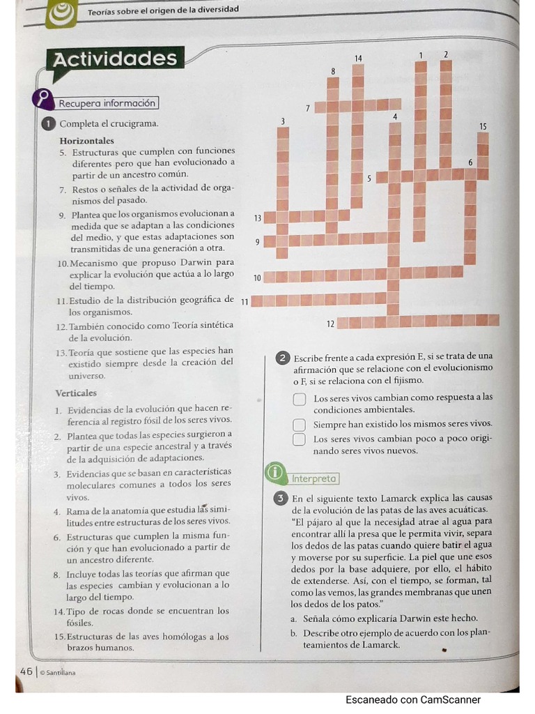 Crucigrama de La Vida | PDF