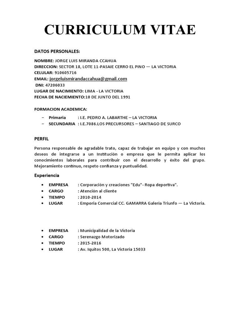 Curriculum Vitae Jorge Luis | PDF