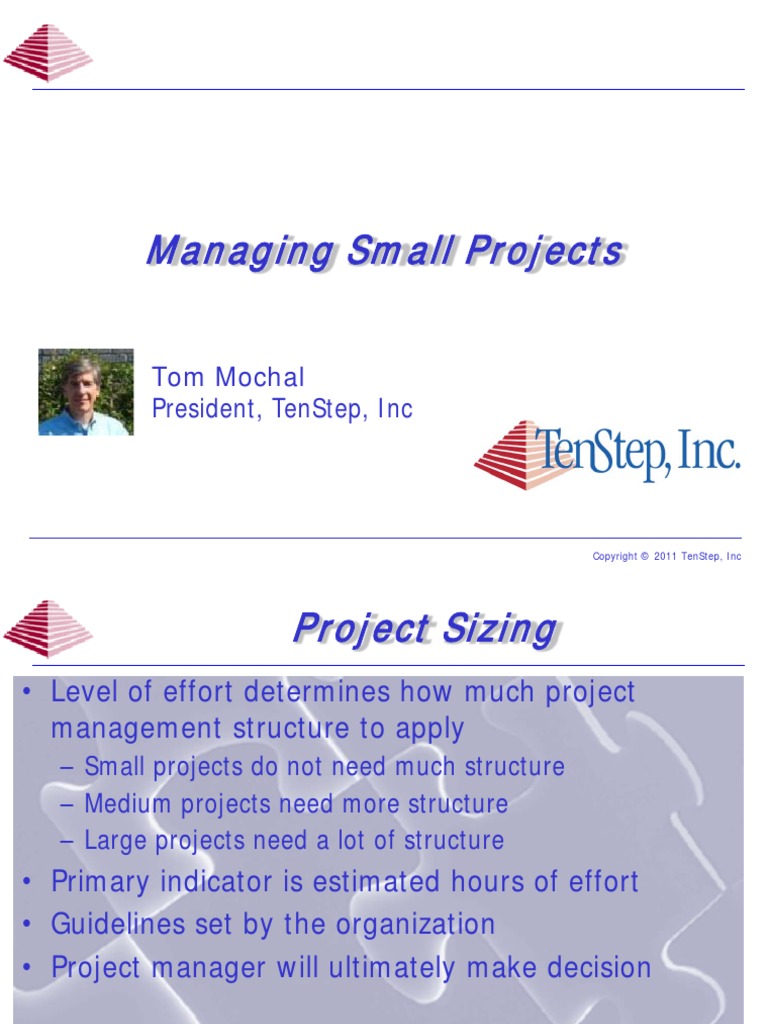 Managing Small Projects: Tom Mochal | PDF | Project Management
