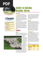 All About Sheep | PDF