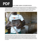 Zimbabwe Crop Planting Calendar | PDF | Cooking, Food & Wine | Science ...