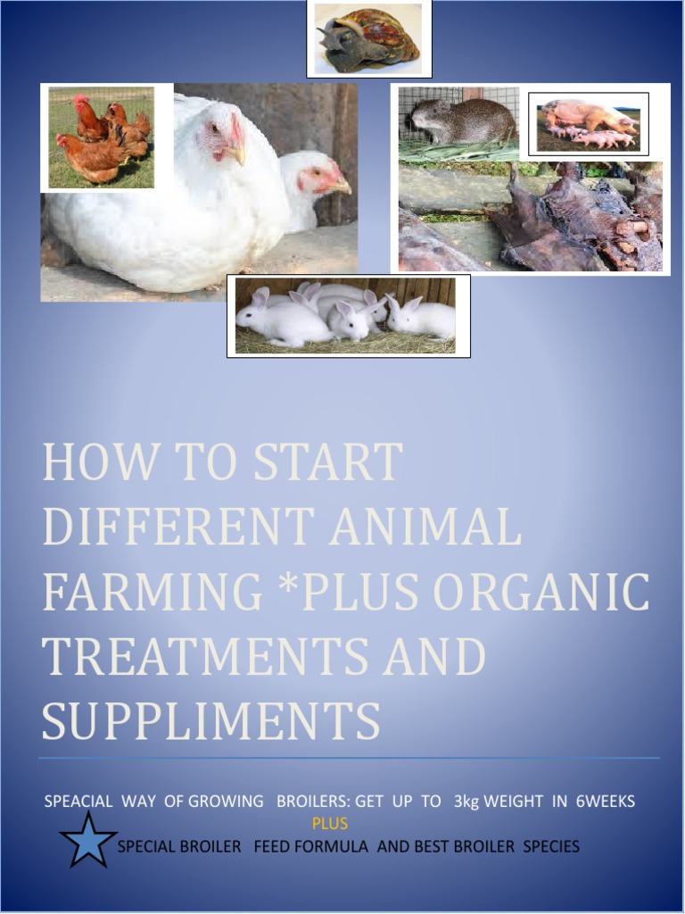 Poultry Farming Guide for Beginners | PDF | Poultry Farming | Poultry