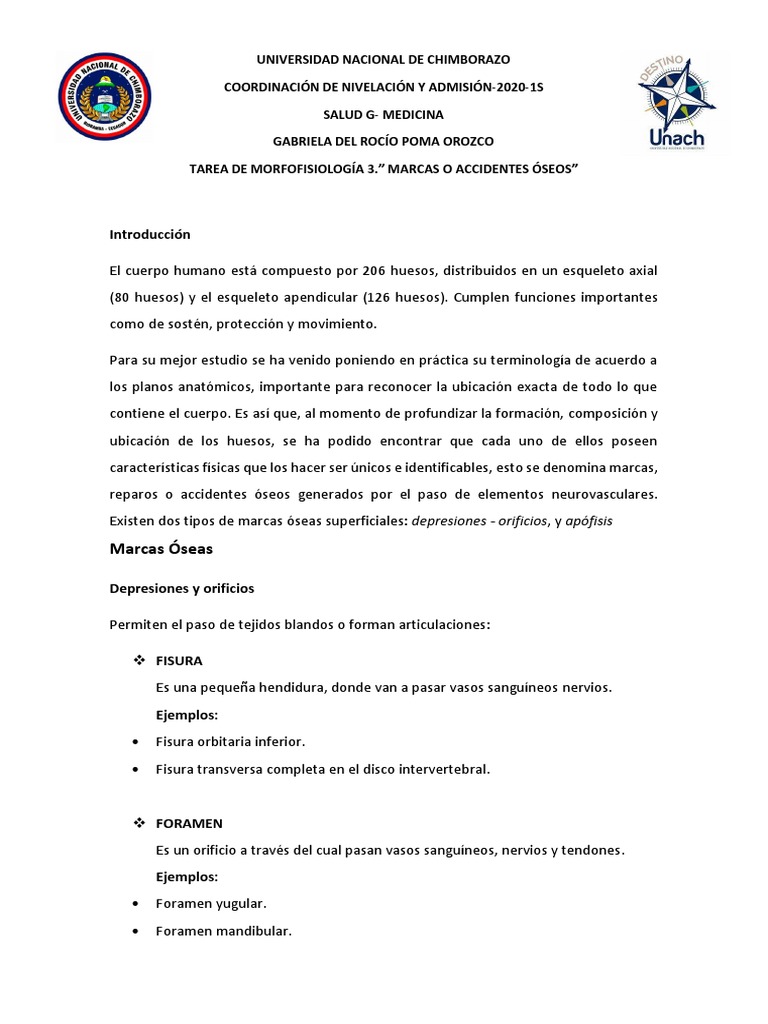 Marcas Óseas en el Cuerpo Humano | PDF | Hueso | Sistema musculoesquelético