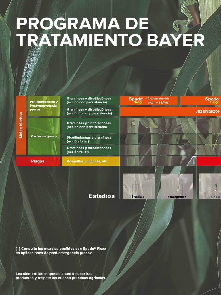 Programa Bayer | PDF