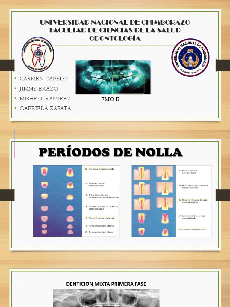 Grupo 3-Etapas de Nolla-Odontopediatria | PDF | Anatomia dental | Diente