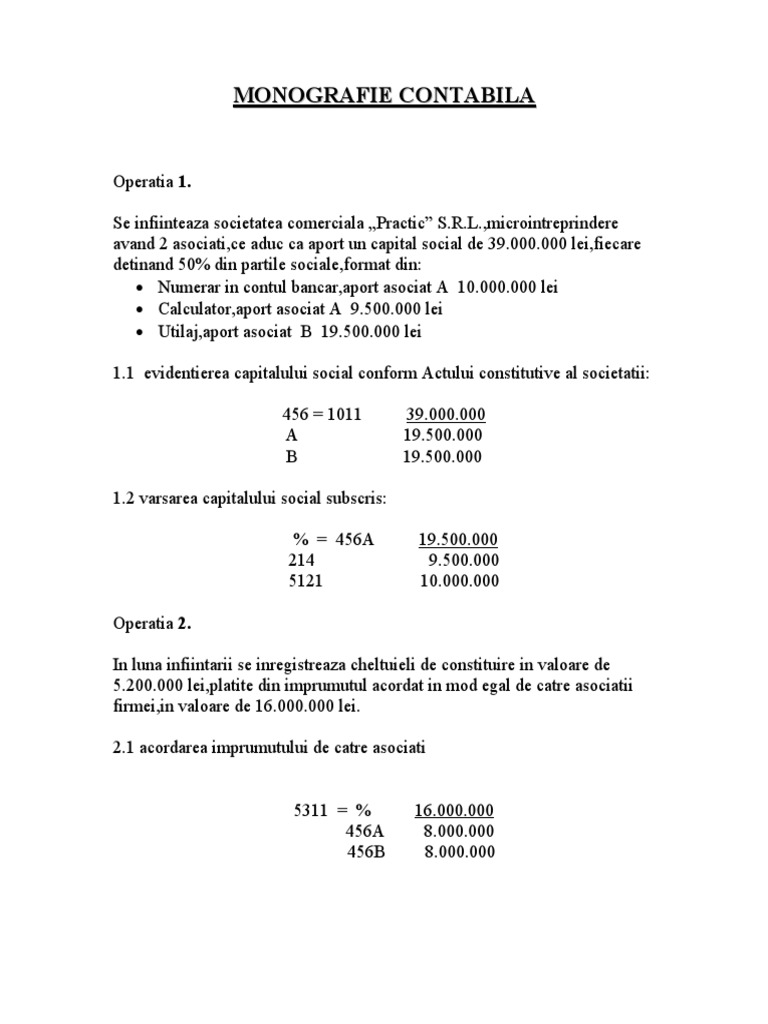 WWW Educativ Ro-Monografie-Contabila | PDF