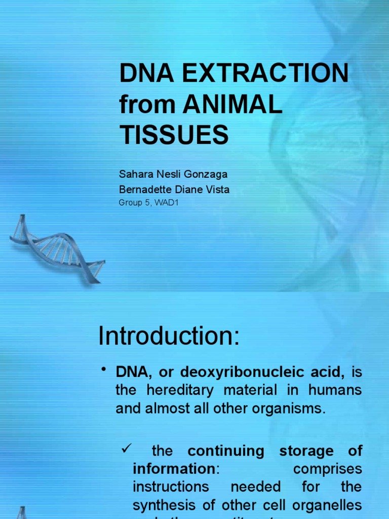 DNA EXTRACTION From ANIMAL TISSUES | PDF | Gel Electrophoresis ...