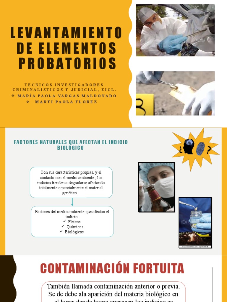Levantamiento de Elementos Probatorios Exposicion | PDF | Contaminación ...