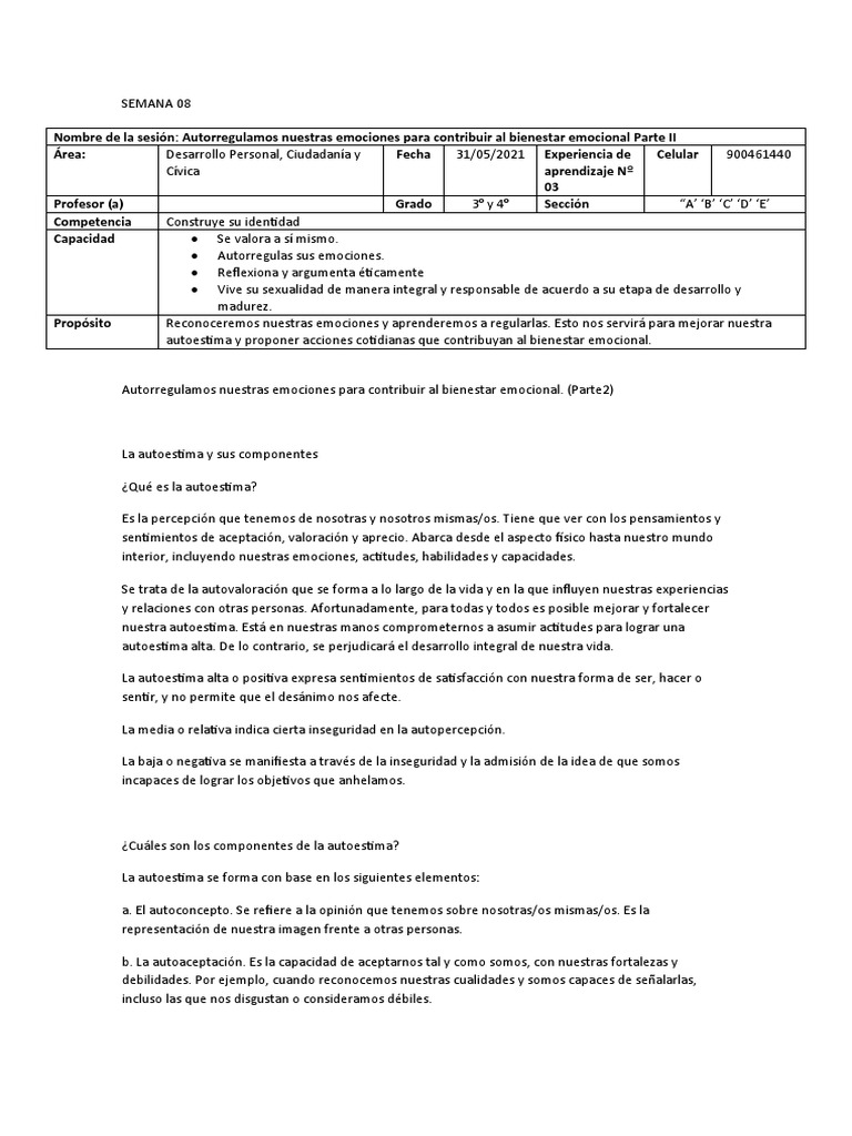 Sesión 8 Dpcc 3 y 4 | PDF | Autoestima | Bienestar