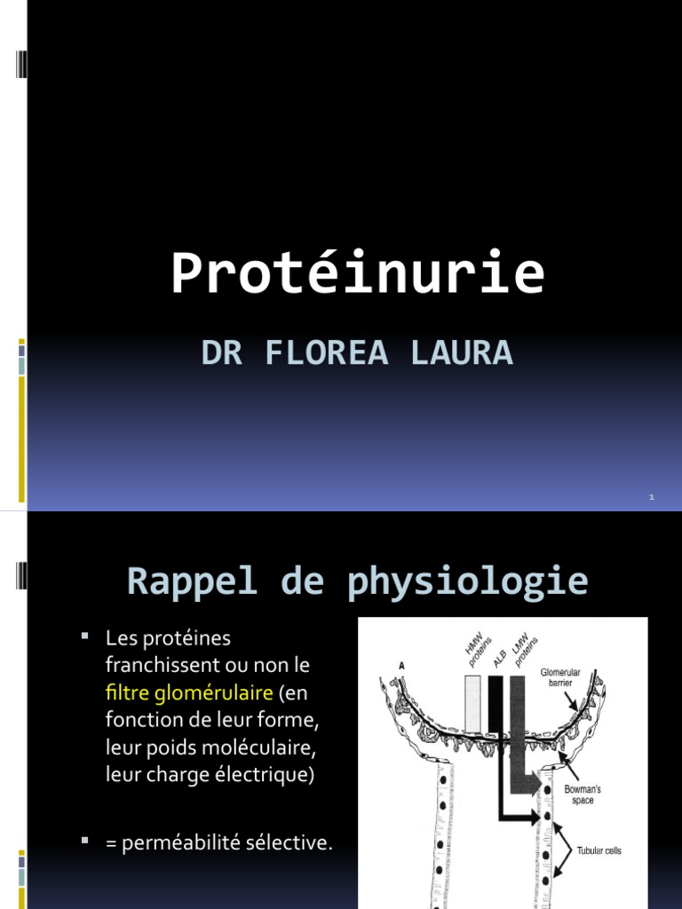 2 - Proteinurie | PDF | Urologie | Appareil urinaire