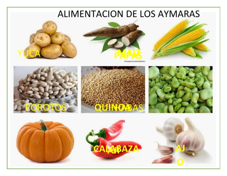 Alimentos Aymaras | PDF