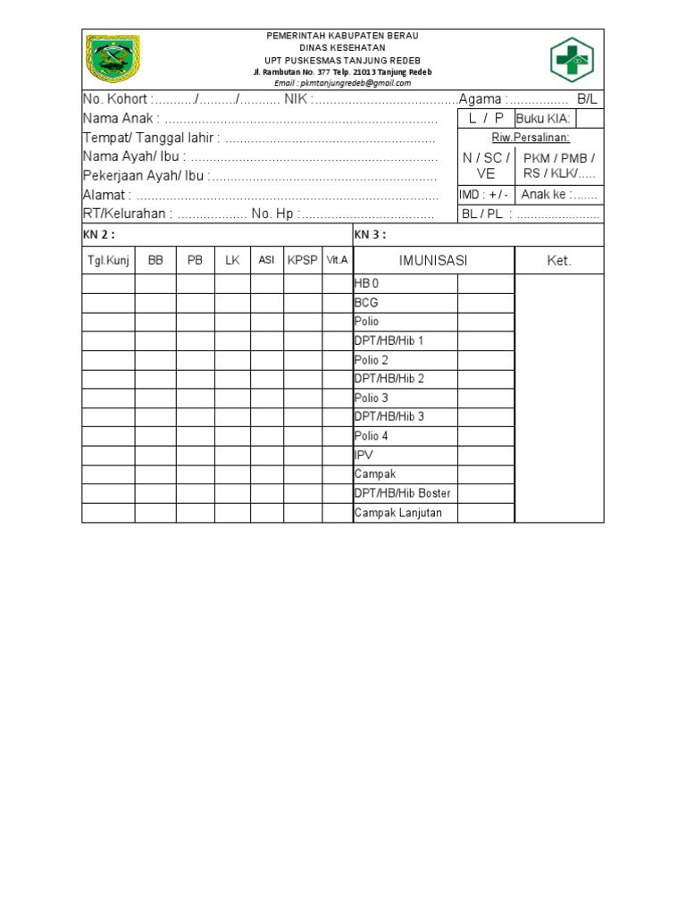 Form Anamnesa 1 DDTK | PDF