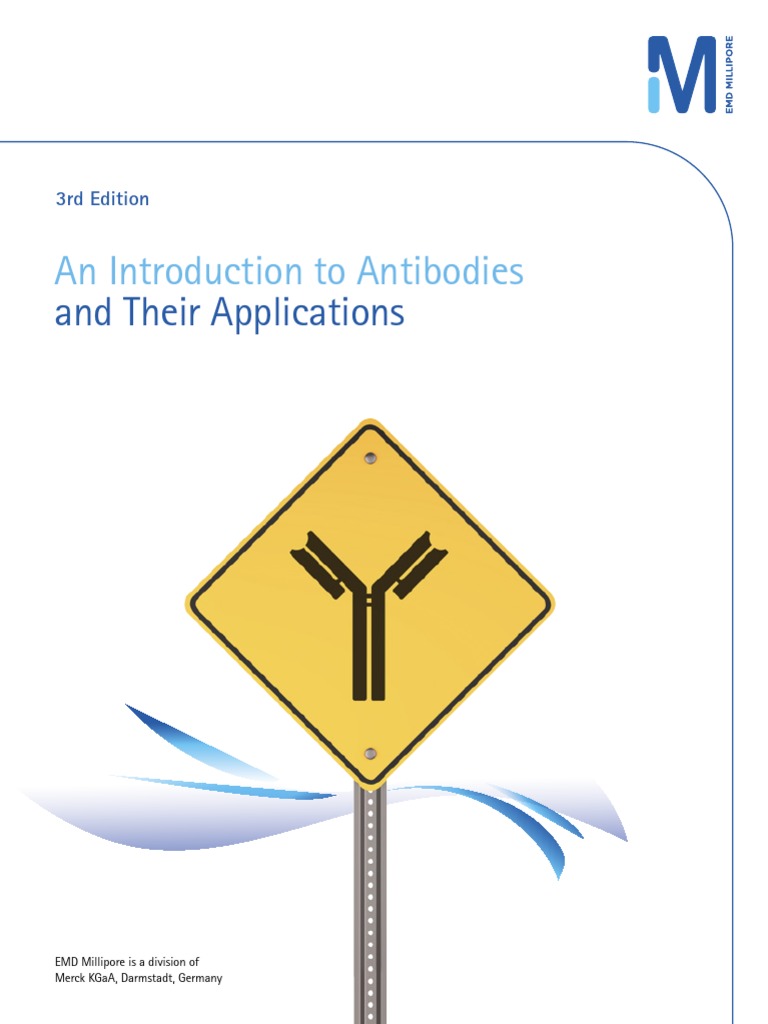 An Introduction To Antibodies and Their Applications | PDF | Antigen | Antibody