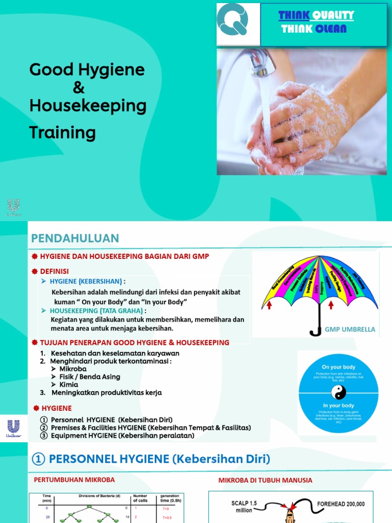 Good Hygiene Housekeeping | PDF