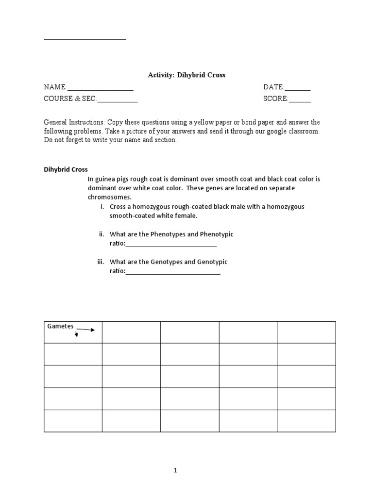 Dihybrid Cross Activity | PDF