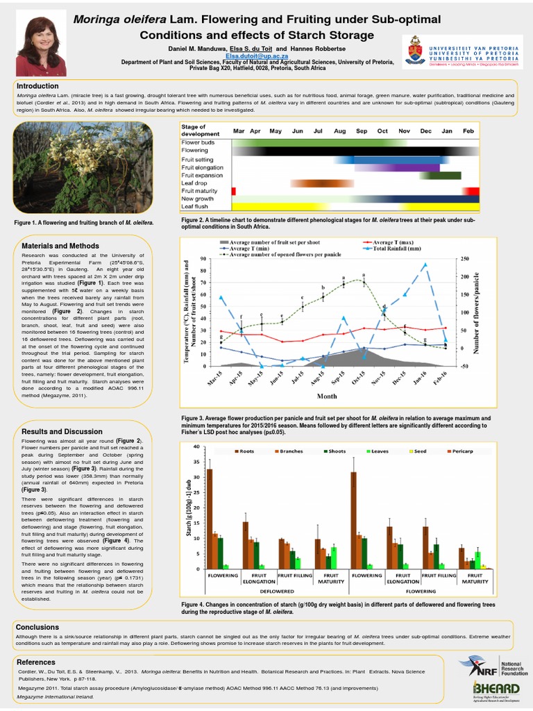 Prof Elsa S. Du Toit - Moringa Oleifera | PDF | Trees | Flowers