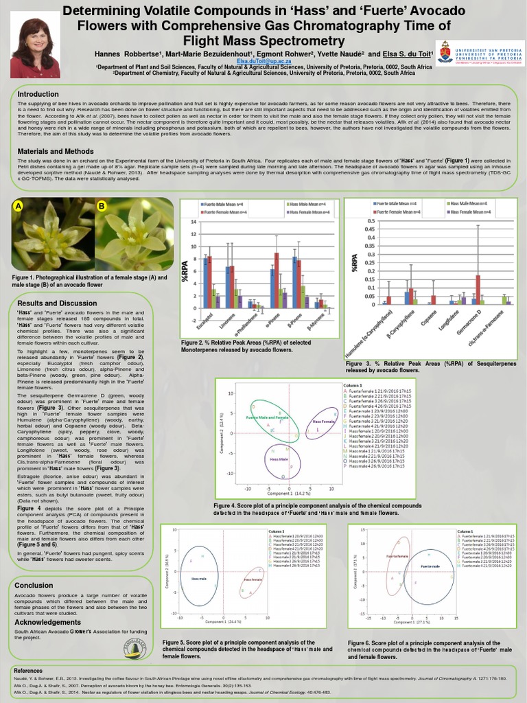 Prof Elsa S. Du Toit - Avocado | PDF | Bees | Pollination
