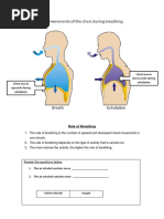 Basic Science Process Skills | PDF | Observation | Measurement