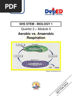 Science - G9 - Week 7 (Lessons 19-20) | PDF | Cellular Respiration ...