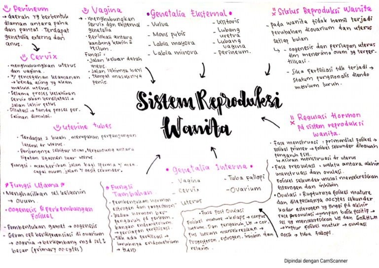 Mindmap Sistem Reproduksi Wanita Biomedis | PDF
