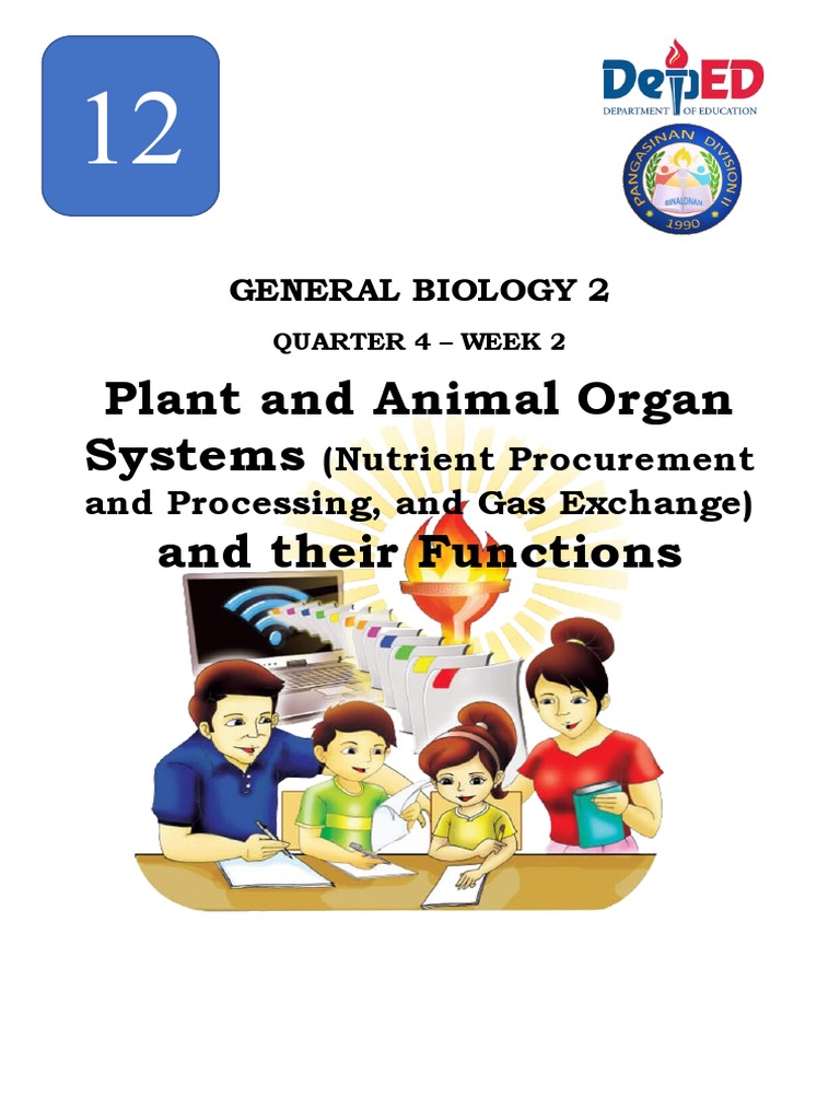 Plant and Animal Organ Systems and Their Functions: (Nutrient ...