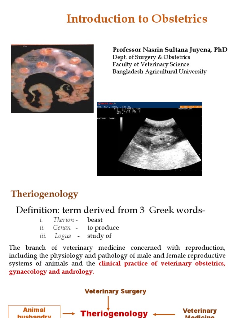 An Introduction to Veterinary Obstetrics and Reproductive Physiology ...