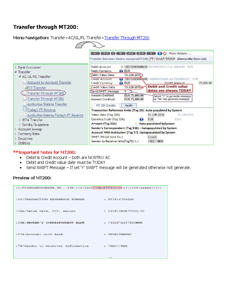 Transfer Through MT200 | PDF